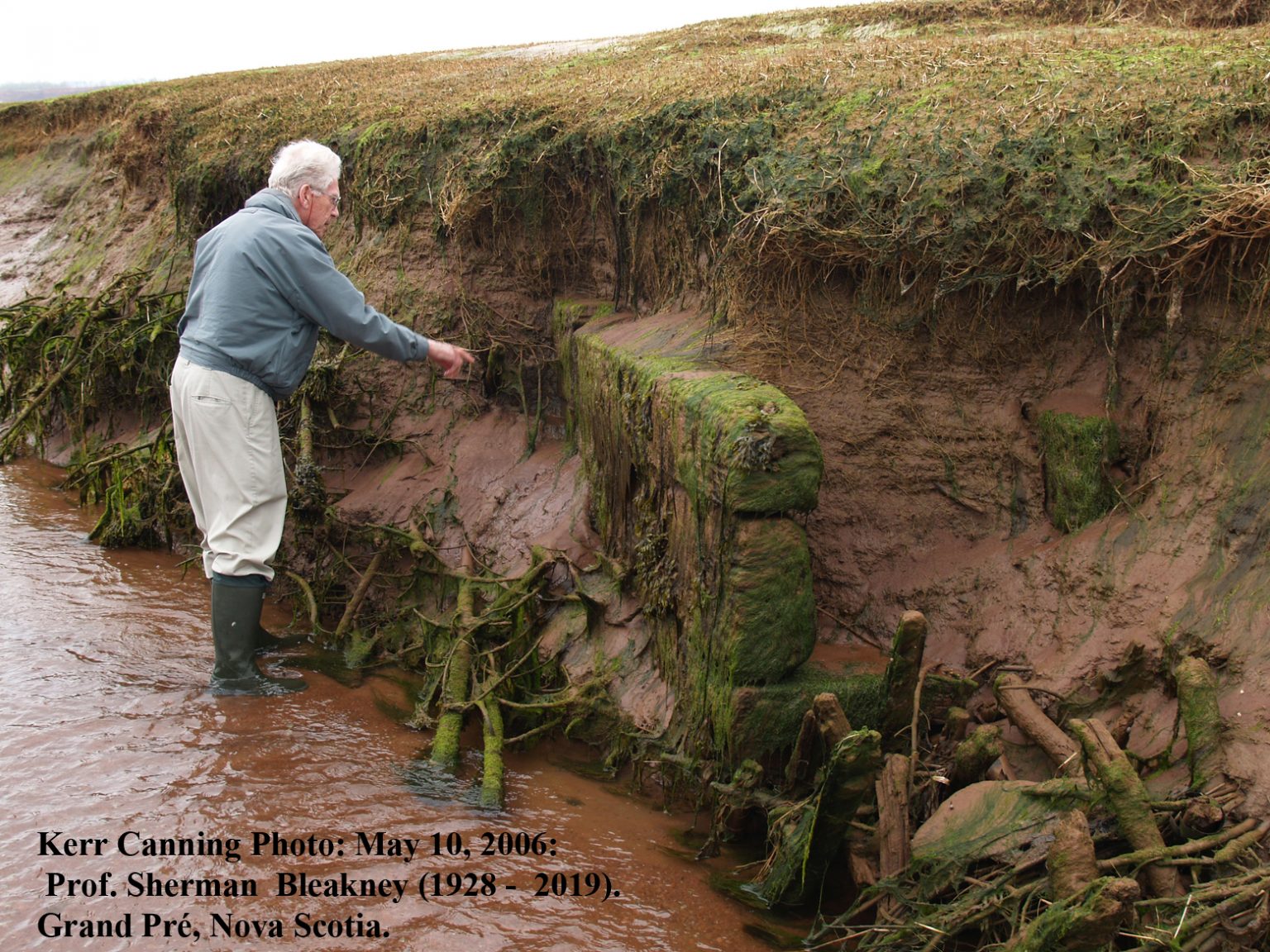 Dyke Walls | Parrsboro Shore Days